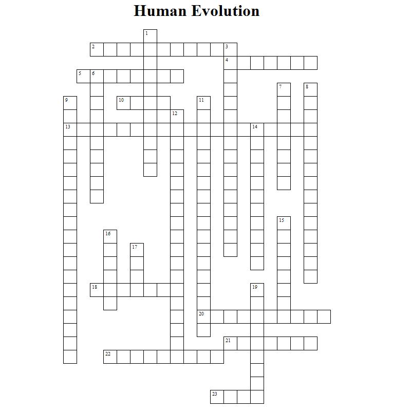 Human Evolution Fun! – Neuroanthropology