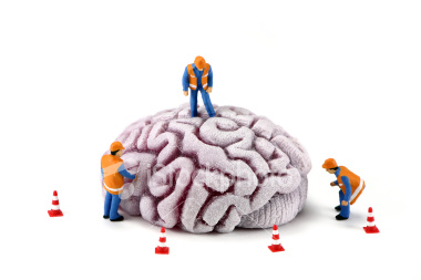 Cognitive anthropology – Neuroanthropology