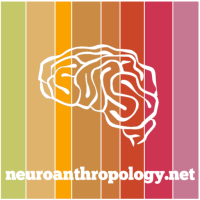 Neuroanthropology – Understanding the encultured brain